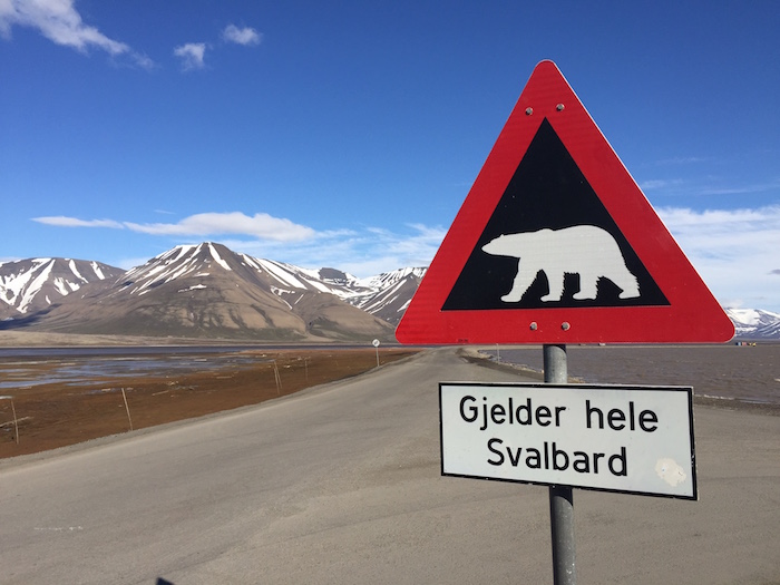 10 Thoughts On Visiting Svalbard In Summer | One Mile at a Time